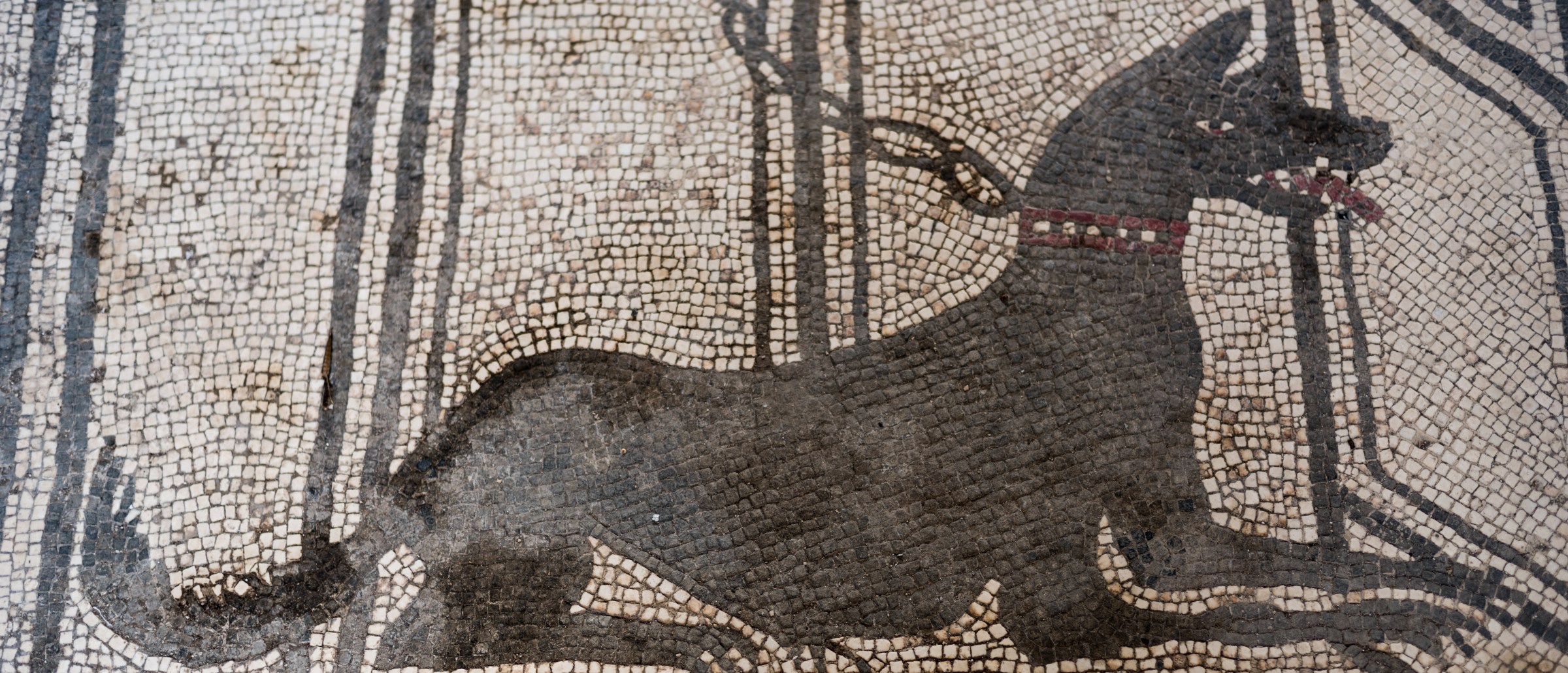 Pompeii | Colin Melvin